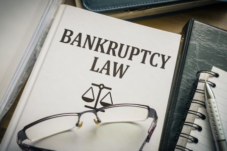 The U.S. Trustee Program in Bankruptcy